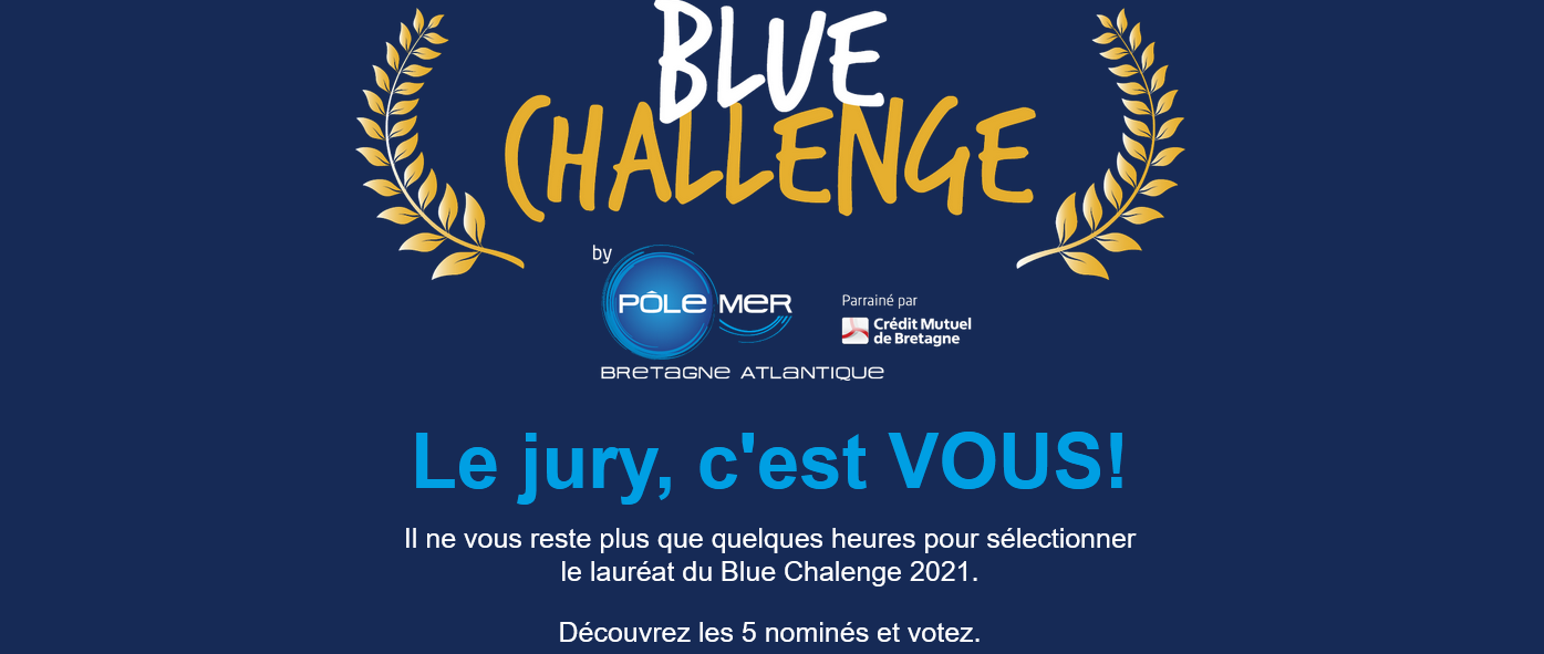 5 projets pour le Blue Challenge : dernier jour pour voter | Énergies ...