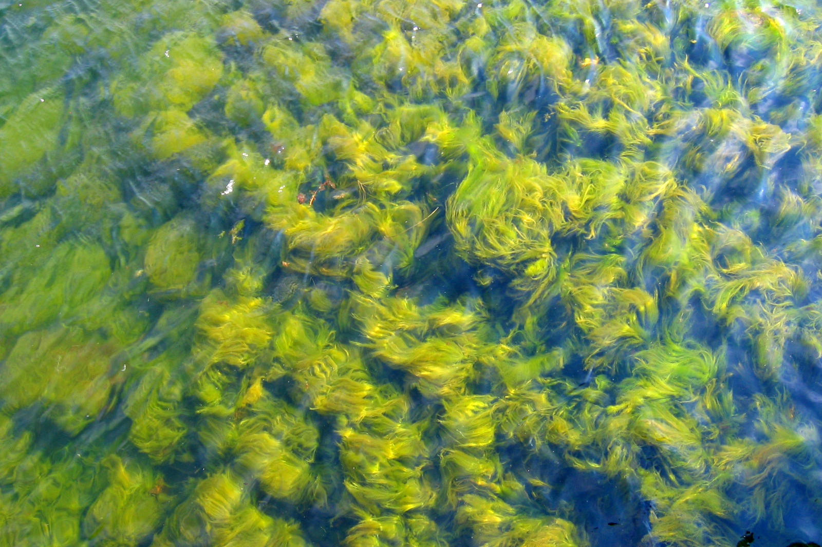 Elwind : le marché public pour les levés géophysiques est lancé ...